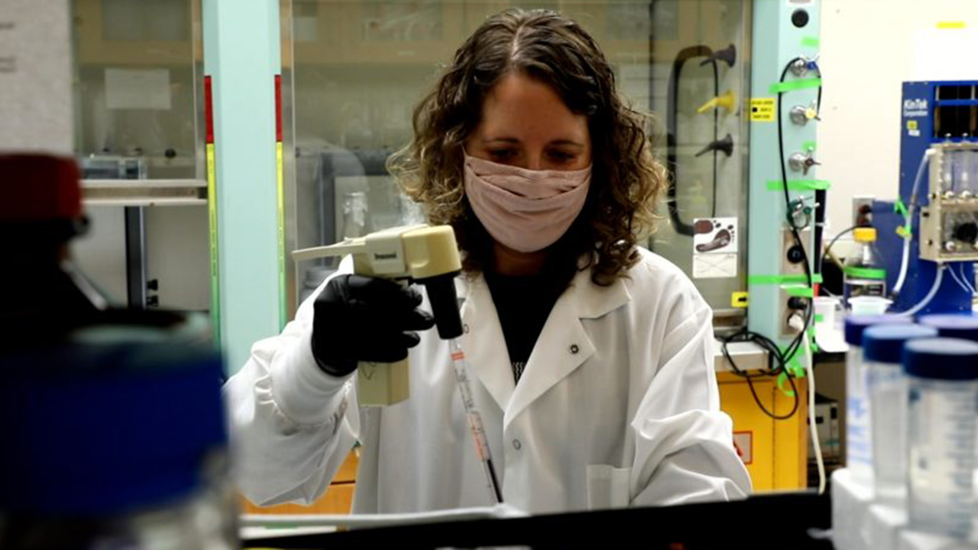 Bachelor's Programs | Department of Chemistry and Biochemistry